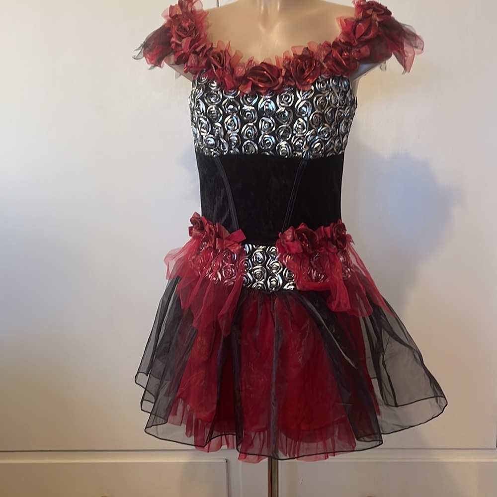 Super Cute Silver/ Red Roses, Costume Womens Mini Dre… - Gem